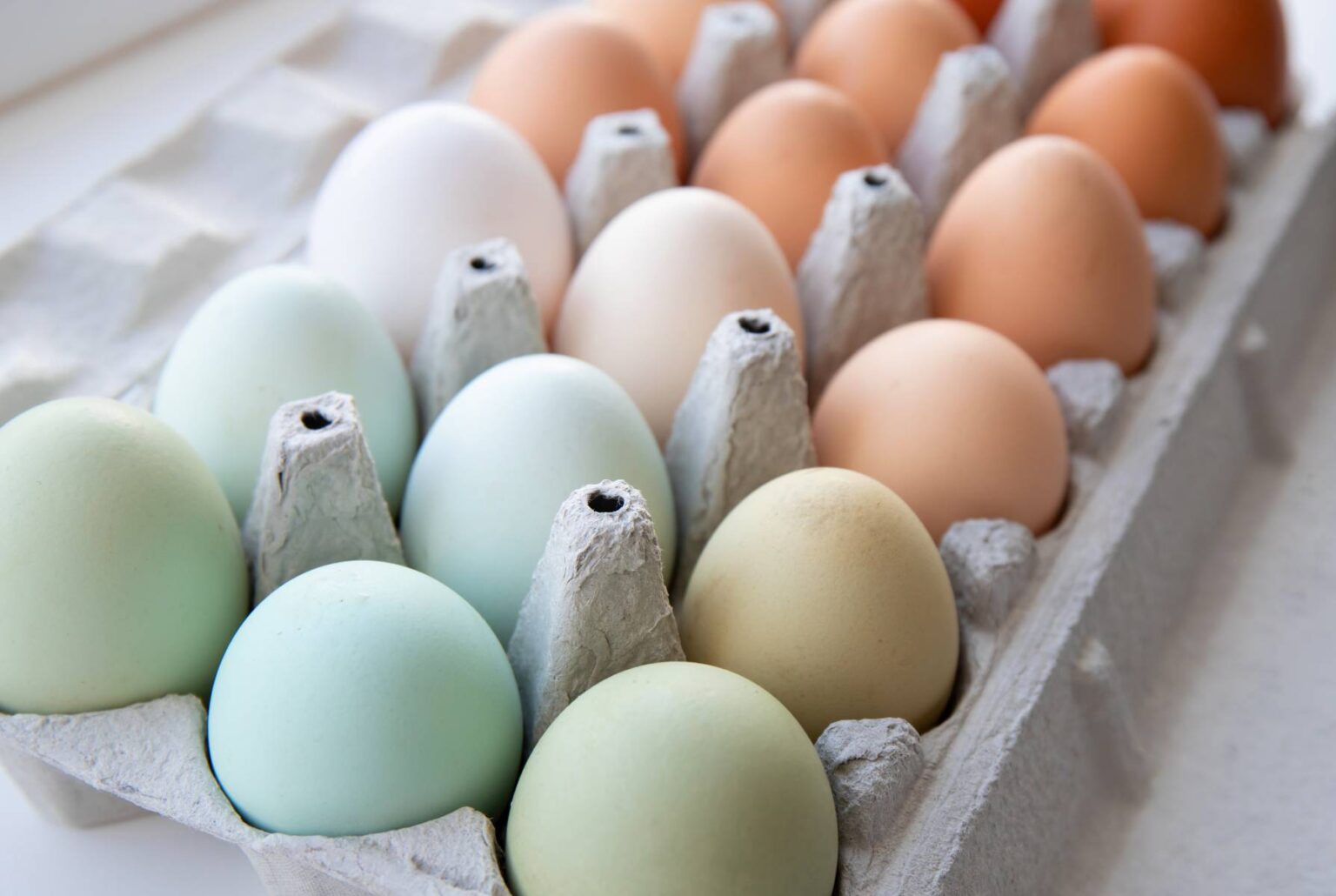 A Guide to Different Colored Chicken Eggs - Backyard Poultry
